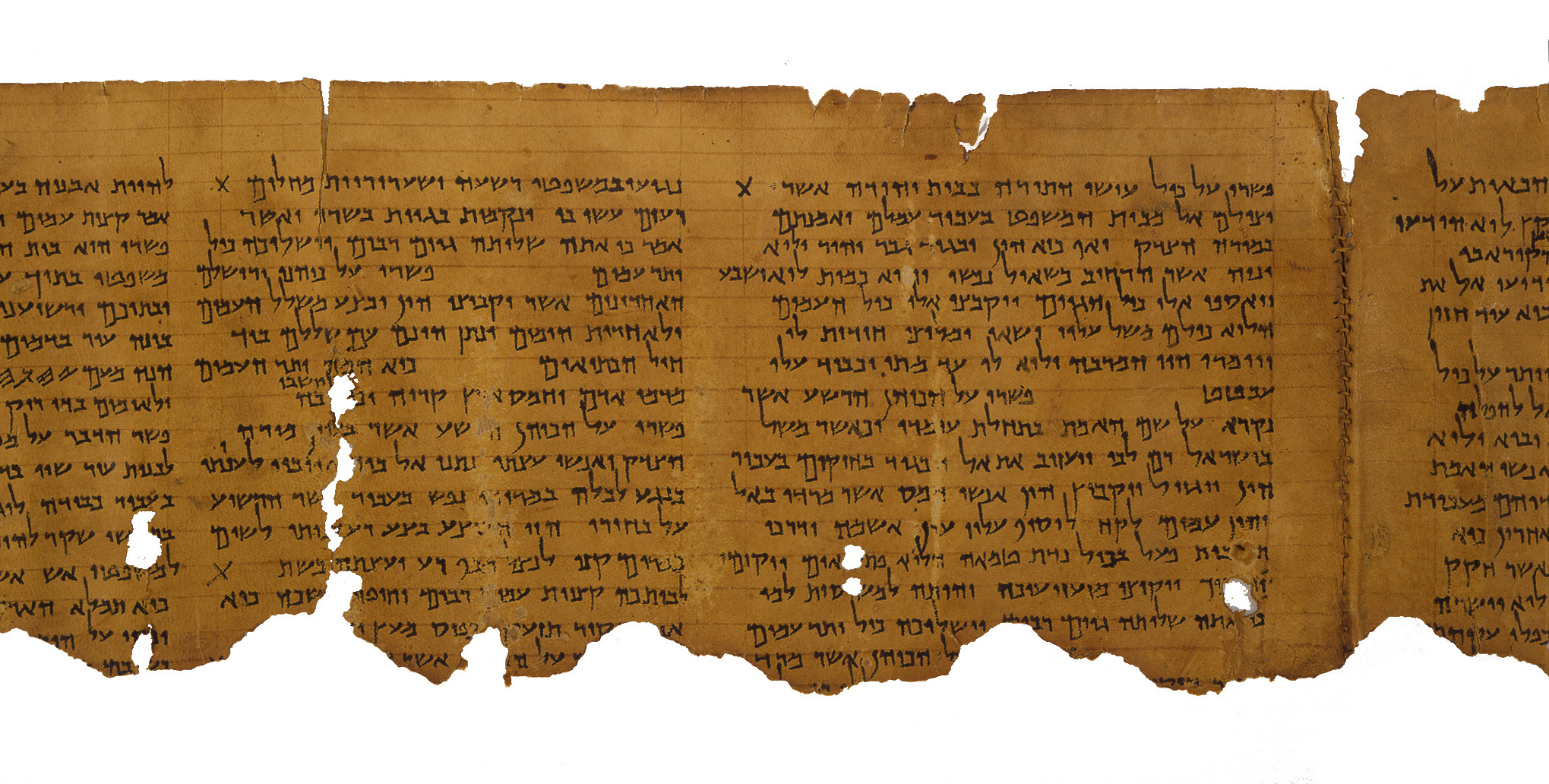 Texts from Qumran on the Priesthood | Posen Library
