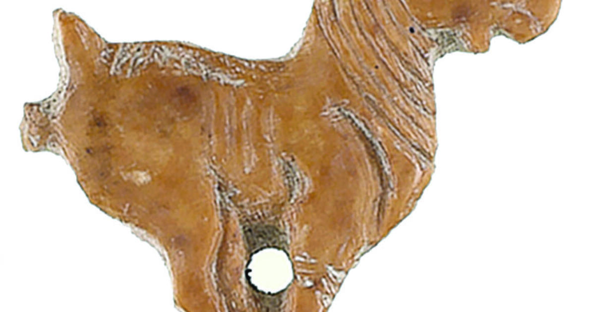 Ivory Goat Inlay | Posen Library